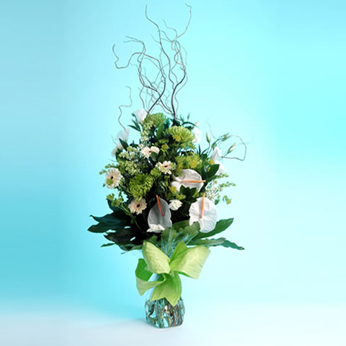 Stunning Blooms Fleur de Lis Florist Stirling